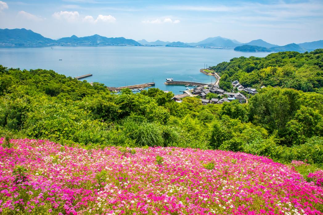 Kagawa Prefecture: Flower scenery | Travel Ideas | VISIT KAGAWA