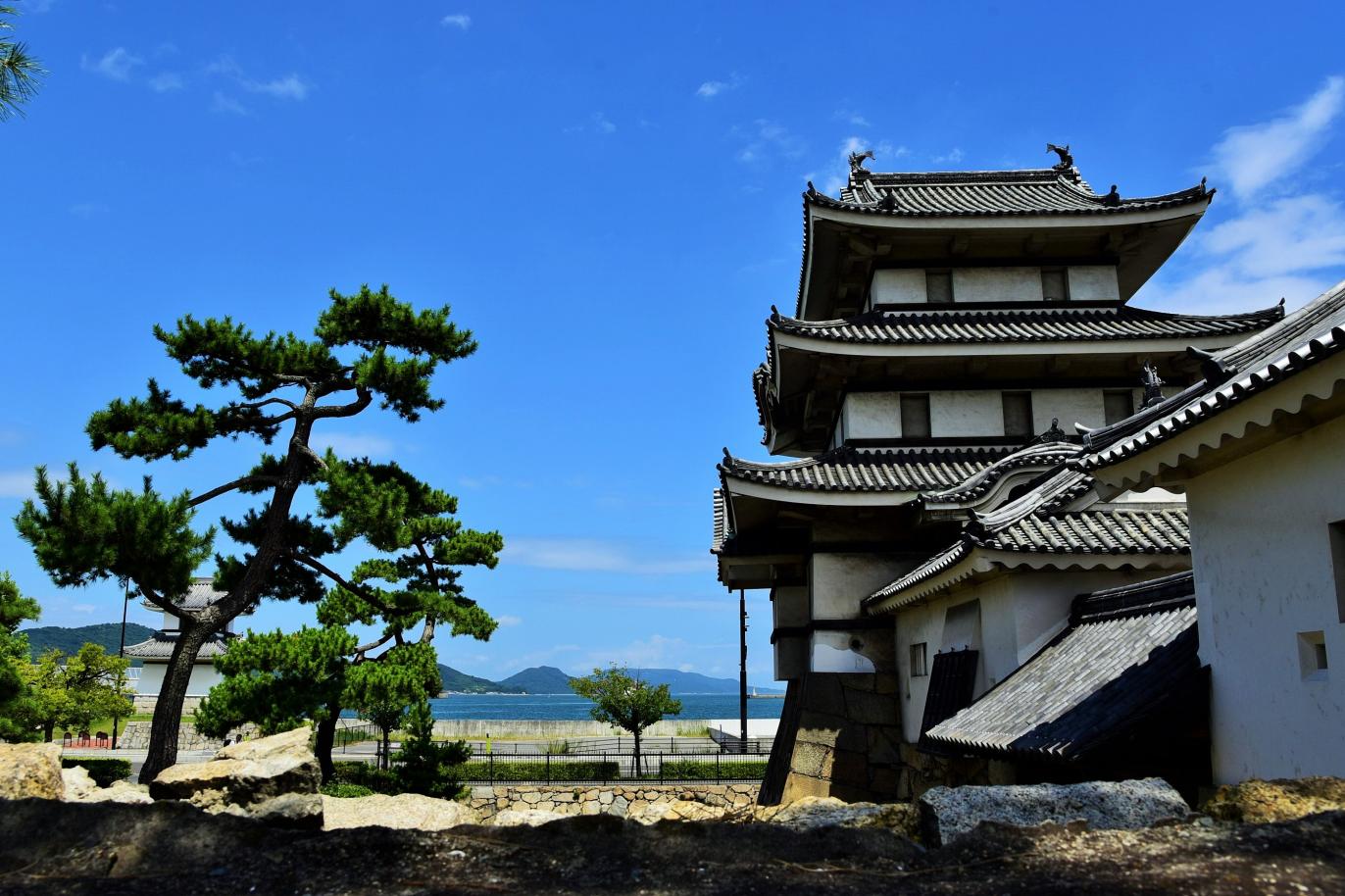 Tamamo Park, Historic Site of Takamatsu Castle | See ＆ Do | VISIT KAGAWA